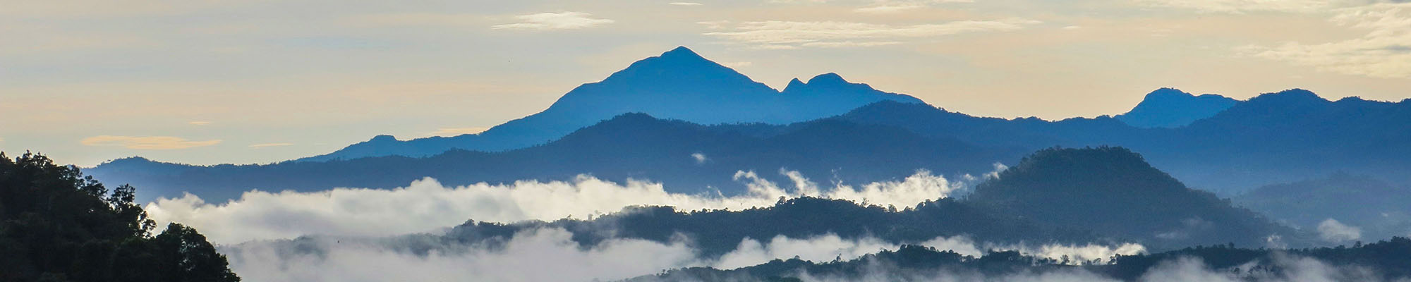 long slider jungle - Explore More